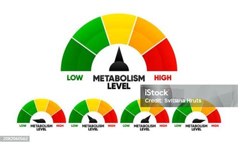 신진대사 수준 척도 건강 개념을 제어합니다 게이지는 신진대사의 낮고 높은 수준을 나타냅니다 벡터 일러스트 레이 션 건강관리와 의술에 대한 스톡 벡터 아트 및 기타 이미지