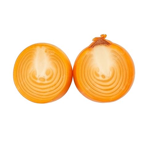 양파 두 개 Png 일러스트 Psd 및 클립 아트에 대한 무료 다운로드 Pngtree