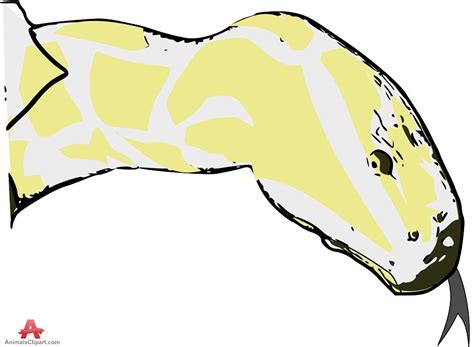 Burmese Python Clipart 19 Free Cliparts Download Images On Clipground 2025