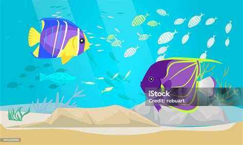 이국적인 물고기와 수중 바다 세계 해양 생물 열대 어류 의 학교 바다 바닥 바다에 대한 스톡 벡터 아트 및 기타 이미지 바다 소금 깊은 Istock