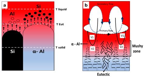 Macrosegregation Evolution In Eutectic Al Si Alloy Under The Influence