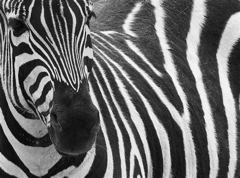 Xyz 2 Object Detection Dataset By Spie24