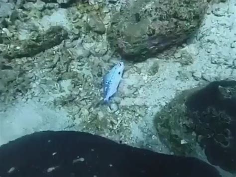 Soufiane Boutaleb Posted On Linkedin