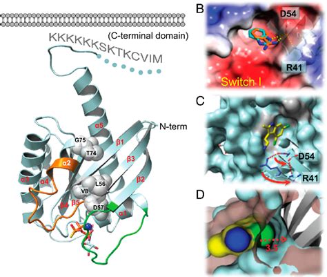 Small Molecule Semantic Scholar