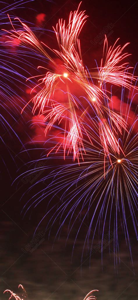 Detail Logo Cat Png Koleksi Nomer 8