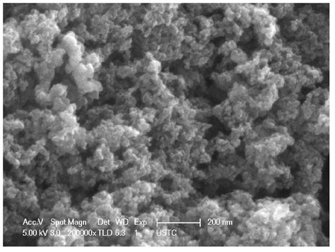 Method For Preparing Microbiologically Treated Carbon Material For