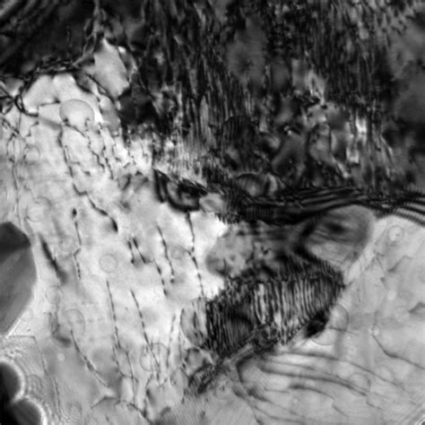 Synthetic Cavities Object Detection Dataset By Tamu Ece