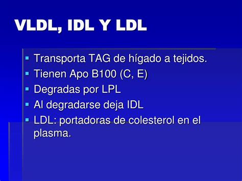 Ppt Transporte De Lipidos Powerpoint Presentation Free Download Id