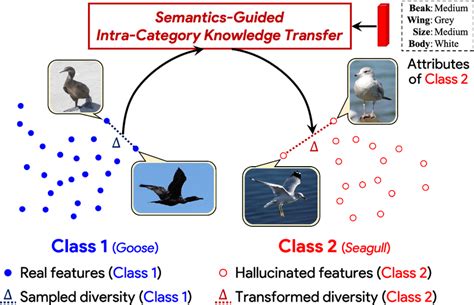 Illustration Of Transferring Semantics Guided Intra Category Knowledge Download Scientific