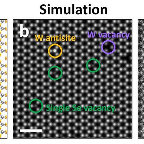 The Cyclegan Processed Images Preserve The Defect Types And Positions Download Scientific