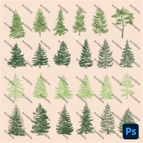 Photoshop Brushes Autumn Trees Elevation