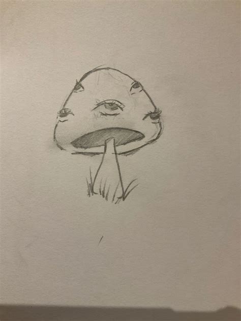 Mushroom Sketches Male Sketch Female Sketch