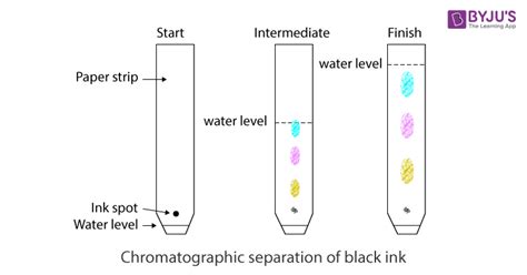 Separation Of Mixtures Using Different Methods Chromatography Chemistry
