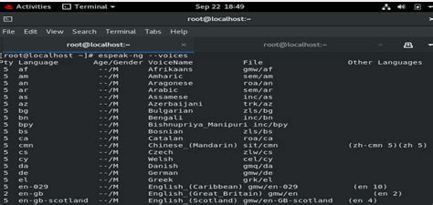 Espeak Ng Command In Linux What Is Espeak Ng By Riddhi Jani Medium