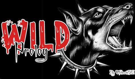 Wild [prolog] Samequizy
