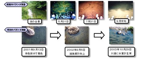 河川湖沼の水質改善対策装置環境科学研究所