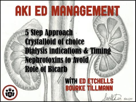 Ep 151 Aki Part 2 Ed Management Emergency Medicine Cases