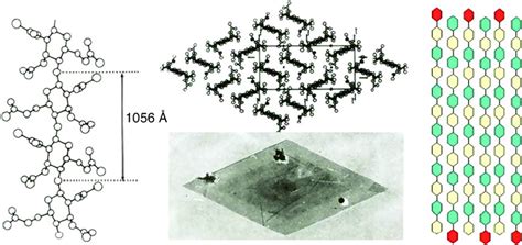 Cellulose Triacetate Cta Ii A Transmission Electron Microscopy Of Download Scientific