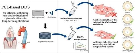 Versatile Polycaprolactone Based Drug Delivery System With Enhanced… Journal Of Functional