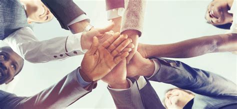 How To Curate A World Class Team Of Employees