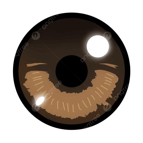 Globo Ocular De Personaje De Anime Marrón Png Globo Ocular Marrón