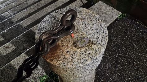 Giantess In The Rain A Night Of Shrinking Adventures 1080hd