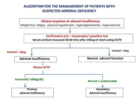 Disorders Of Adrenal Cortex Pdf