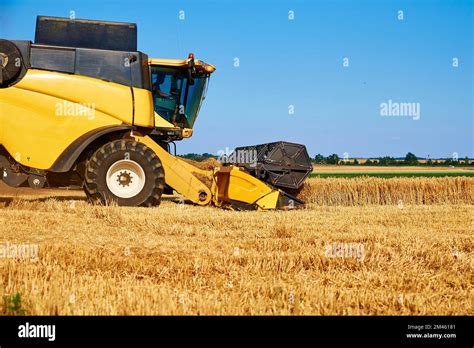 Combine Harvester Harvesting Golden Wheat Field Harvester Working In An Agricultural Field