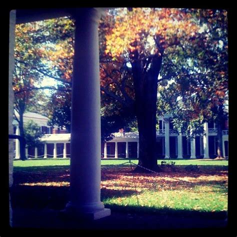 Uva Lawn Fall University Of Virginia Tree Lawn