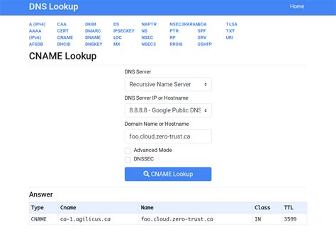 Internet Redirect And Alias The Cname Agilicus