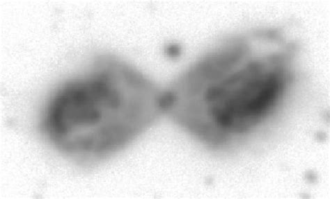 Top Panel Schematic View Of The Models The Magnetic Collimation Axis Download Scientific