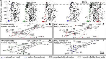 A The Spike Raster Plot Showing S Of Simulation The Vertical Axis Download Scientific