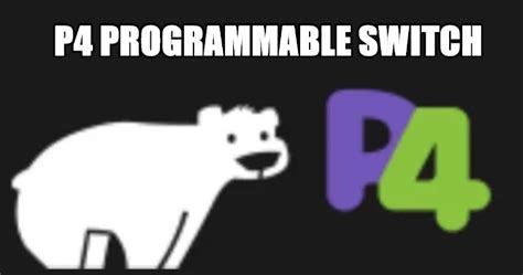 What You Should Know About P4 Programming Languageand P4 Programmable Switch