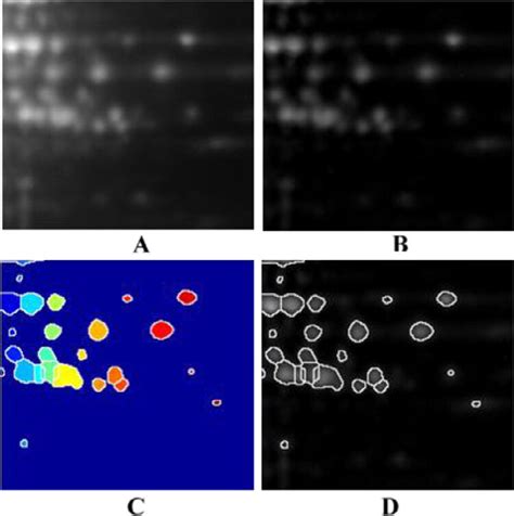 An Example Of The Edge Detection And Segmentation With Matgel A