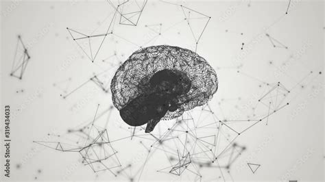 Human Brain Being Formed By Revolving Particles Plexus Structure Evolving Around Black And