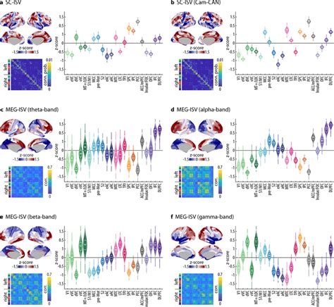 Inter Subject Variability Isv Of Brain Connectivity A B The Isv Of