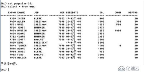 Sql Plus输出结果的格式化linesize、pagesize 数据库 亿速云