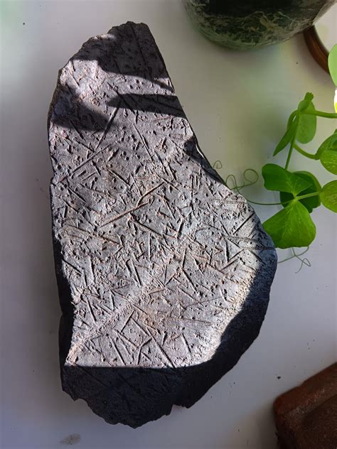 Is This Pattern From Metamorphic Process Or Is It A Fossil R Fossilid