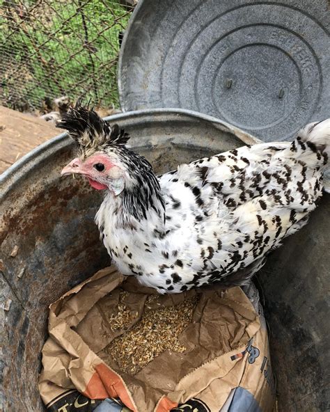 Amanda Ann Larson Added A New Photo Amanda Ann Larson