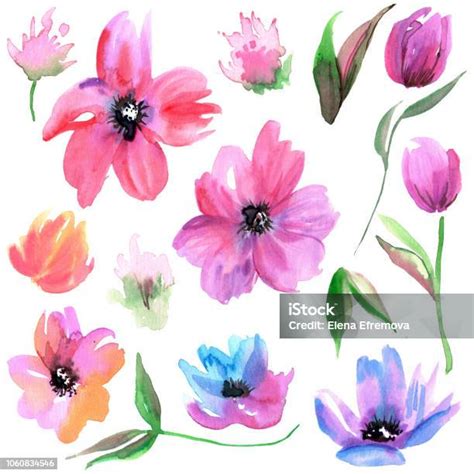 귀여운 수채화 손으로 그린 꽃 디자인에 대 한 요소입니다 초대입니다 웨딩 카드입니다 생일 카드 개화기에 대한 스톡 벡터 아트 및 기타 이미지 Istock