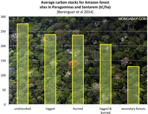 Logging Fires Take A Hidden Toll On Amazon Rainforest