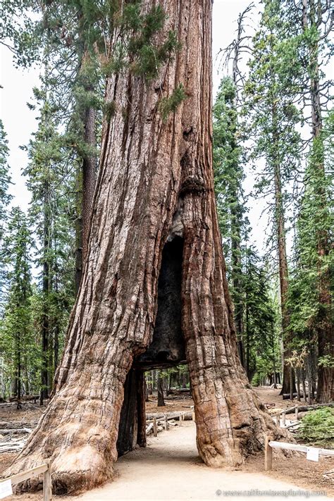 Yosemite Itinerary 4 Days In The National Park Top Places And Map