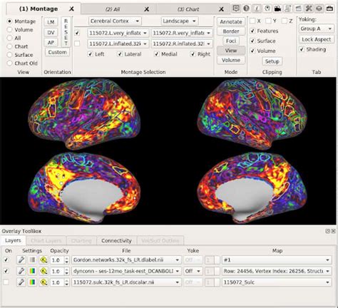 Troubleshooting And Image Viewing Dcan Labs Informational Guide
