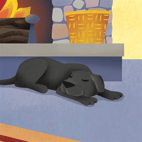 Iris Knightley Milo Is Staying Nice And Warm This Chilly Autumn