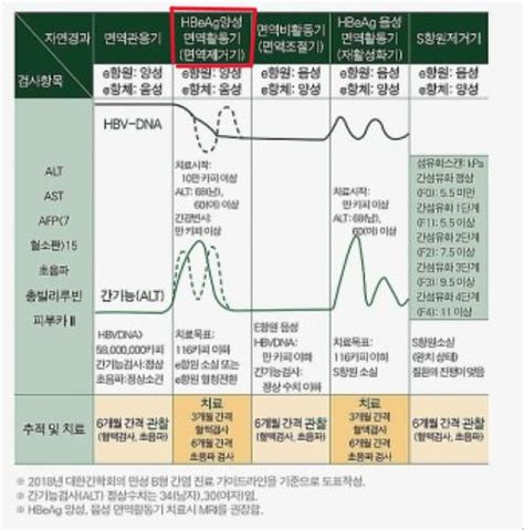 B형 간염 환자는 100 간경변 간암으로 진행하는가