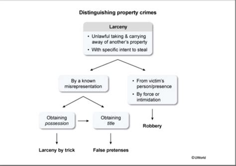 Criminal Law Flashcards Quizlet