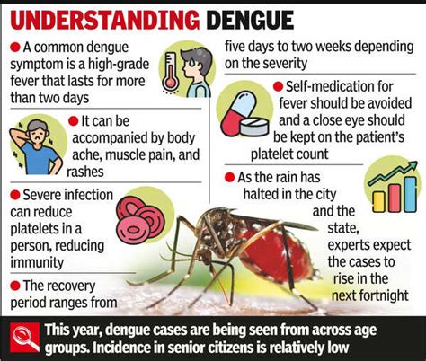 Viral Fever Dengue Conjunctivitis Cases Spike Ahmedabad News