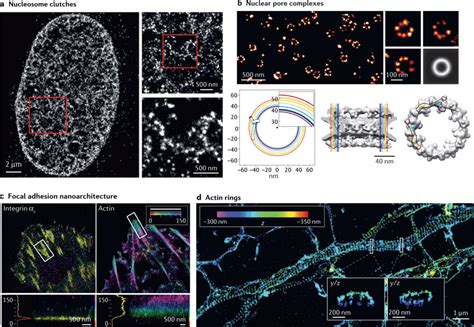 Localization Microscopy And Flow Control For Multiplexing Fluigent