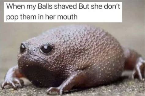 If You Like Sex Youll Like These Sex Memes As Well PICS Izispicy Com