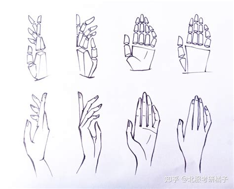 10天手绘打卡第四期成果汇报总有人在默默努力然后惊艳所有人 知乎